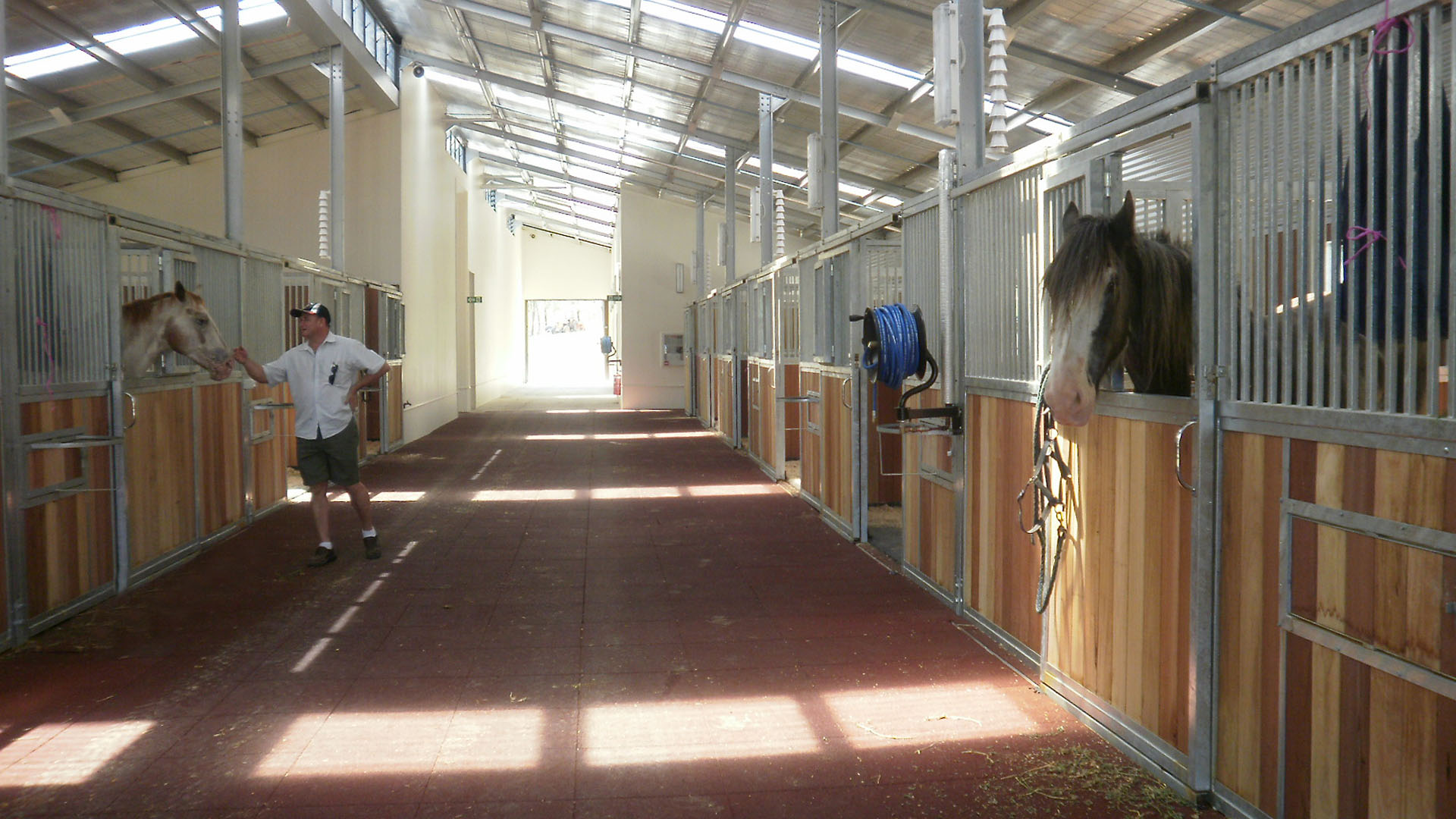 Stables - Steel stables and horse stalls.